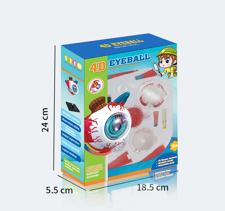 4D Eye ball – IBMC EduHub